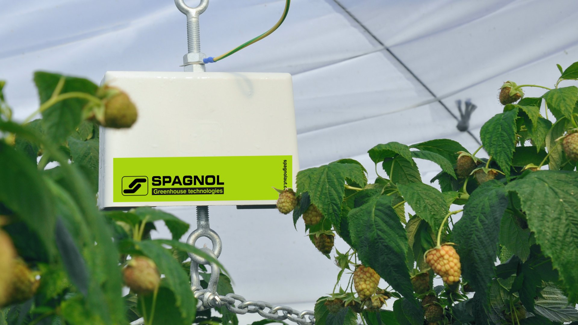 Spagnol - Plant Growing Technologies. Welcome